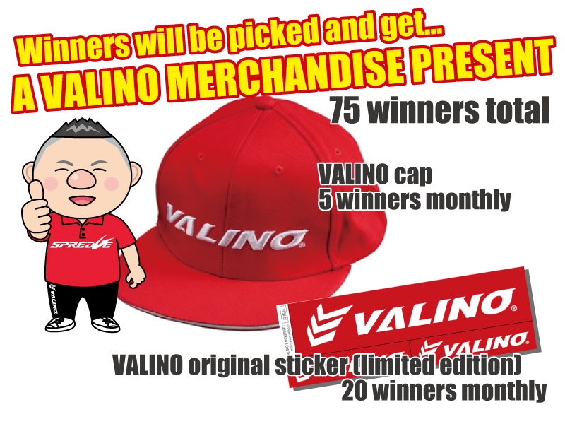 VALI VALI VALINO’s Find Toshi-kun’s mistakes!